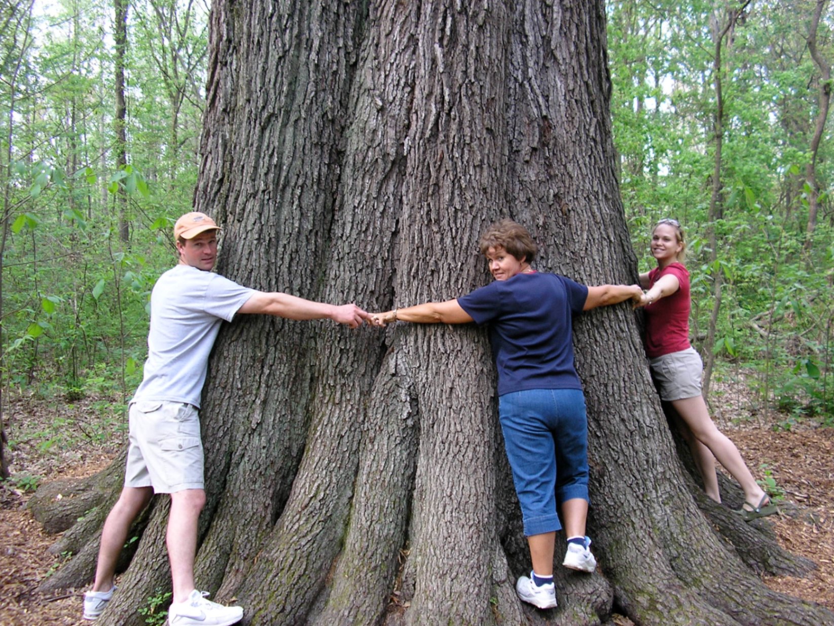 Southern Illinois Vacation Rentals | Cabins, Lakefront Homes & Forest ...